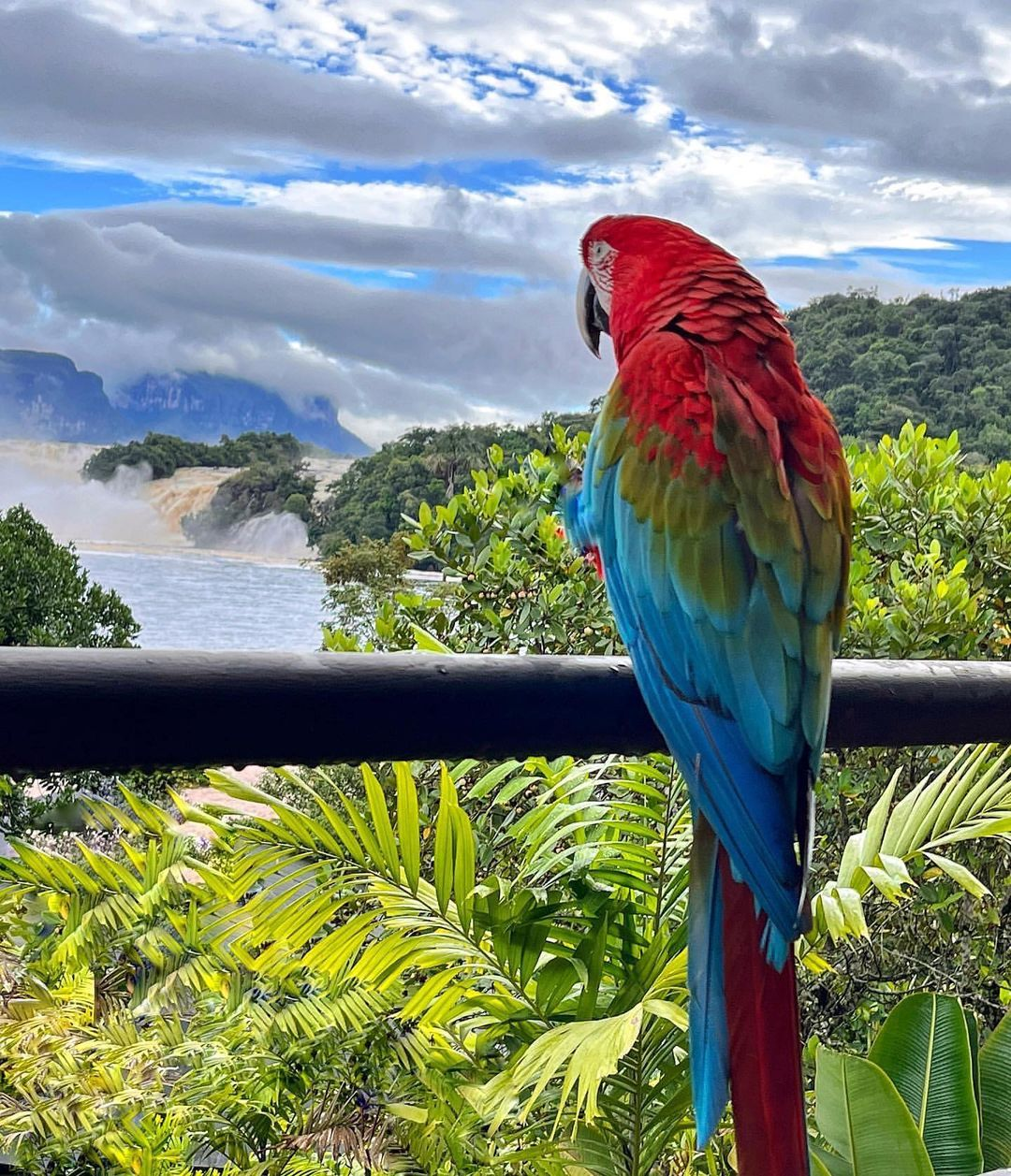 Canaima - Viajes Indigo